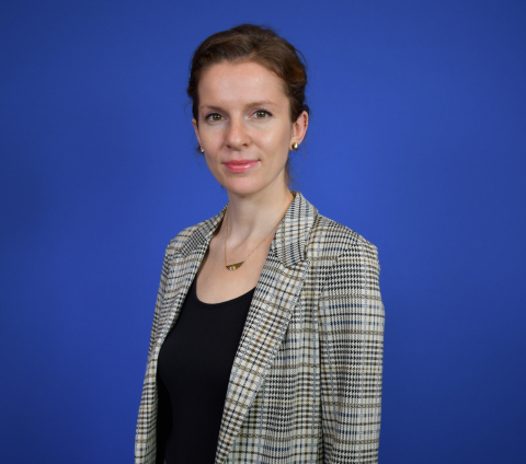 Sub-Saharan Africa Center | Ifri